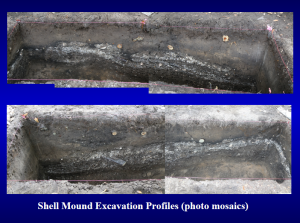 Shell Mound Excavation Profiles - The Indian Canal in Gulf Shores
